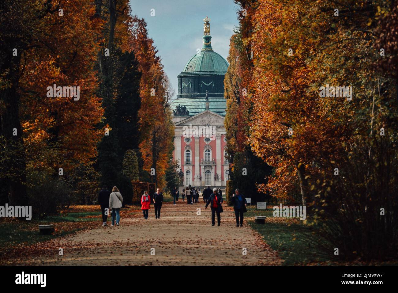 Ein schöner Blick auf das historische Potsdamer Schloss durch die Bäume ...