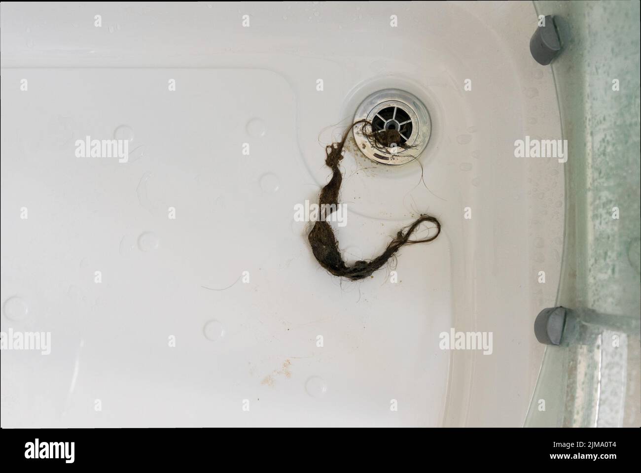 An den haaren gezogen -Fotos und -Bildmaterial in hoher Auflösung – Alamy