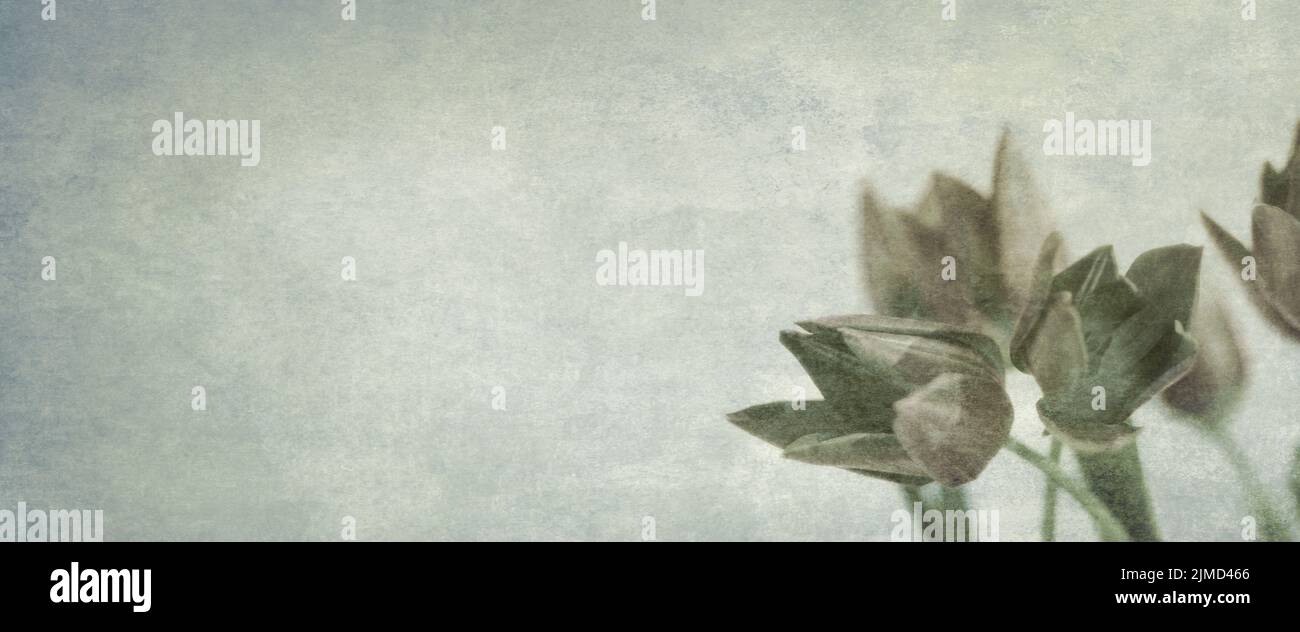 Konzept der traurigkeit -Fotos und -Bildmaterial in hoher Auflösung – Alamy