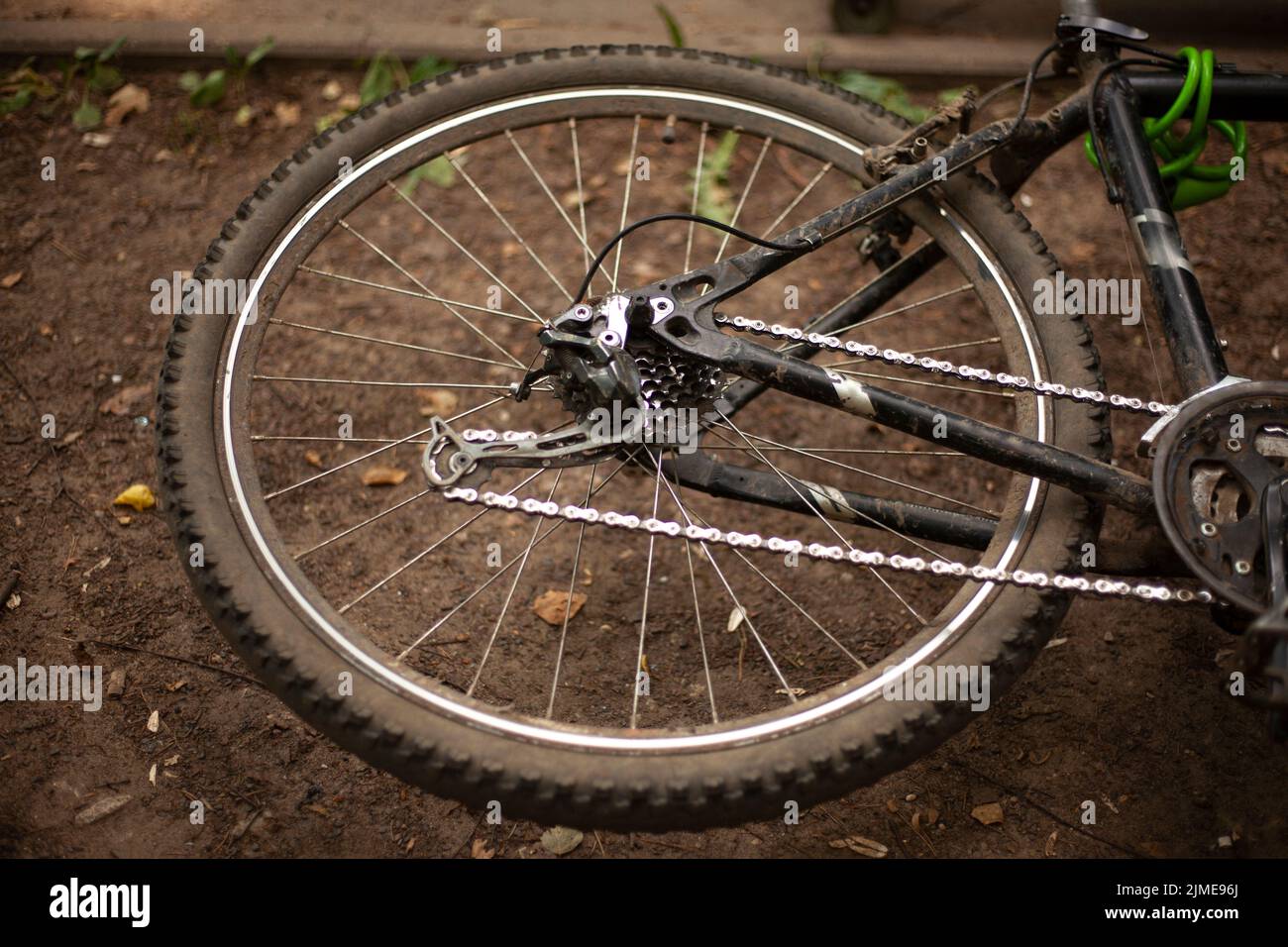 Fahrradrad reparieren -Fotos und -Bildmaterial in hoher Auflösung – Alamy