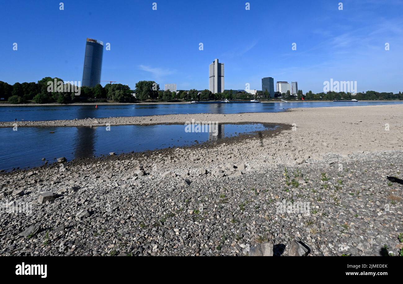 Bonn, Deutschland. 06. August 2022. Ein Schiff fährt auf dem Rhein vor ...