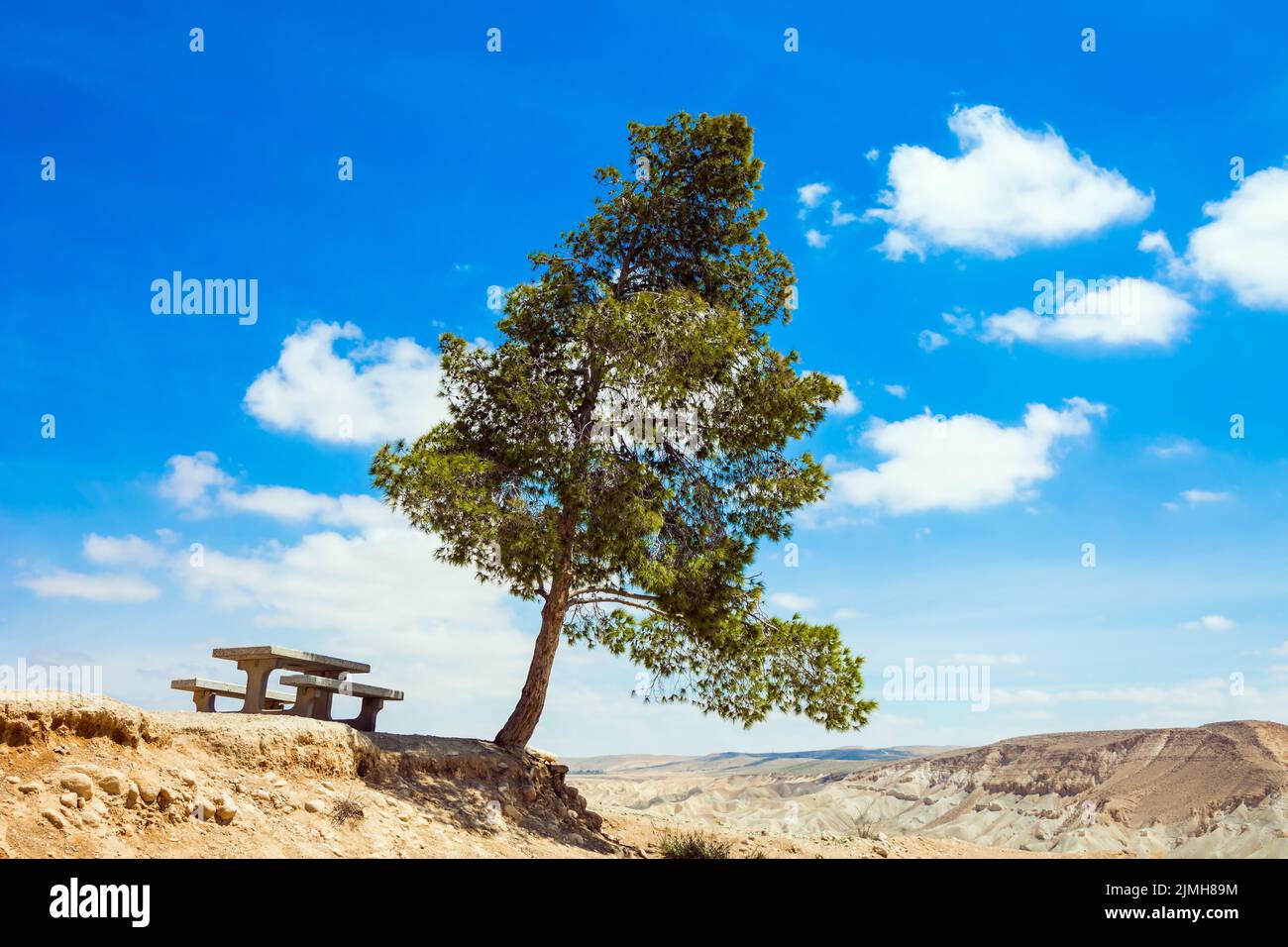 Akazien plateau -Fotos und -Bildmaterial in hoher Auflösung – Alamy