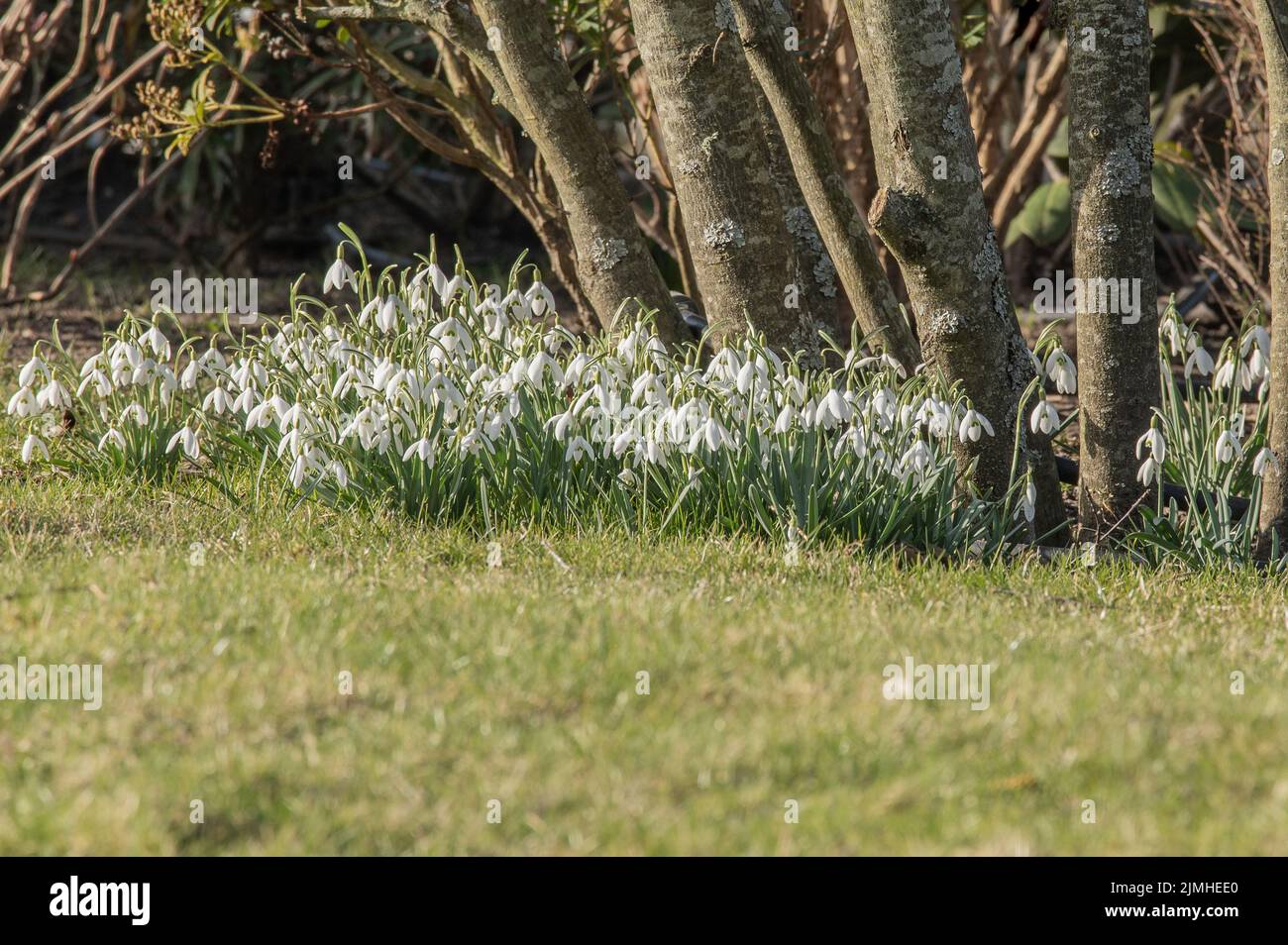 Ha ckchen -Fotos und -Bildmaterial in hoher Auflösung – Alamy