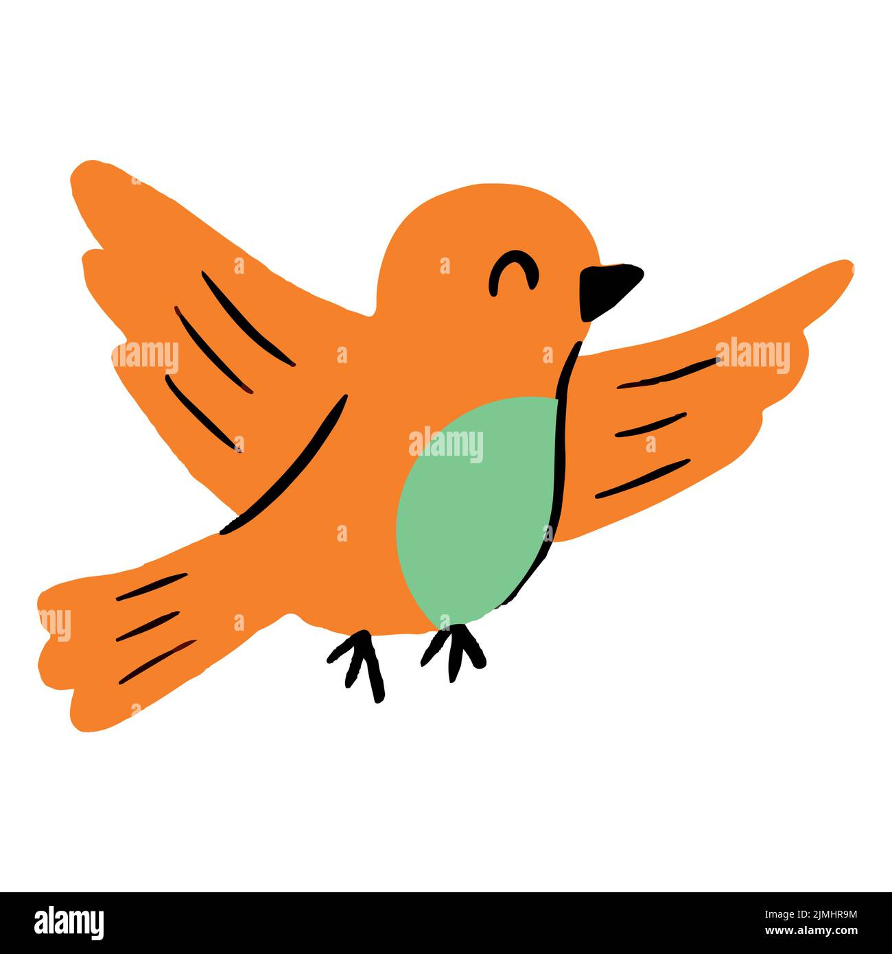 Ein niedlicher fliegender Vogel auf weißem Hintergrund Stock ...