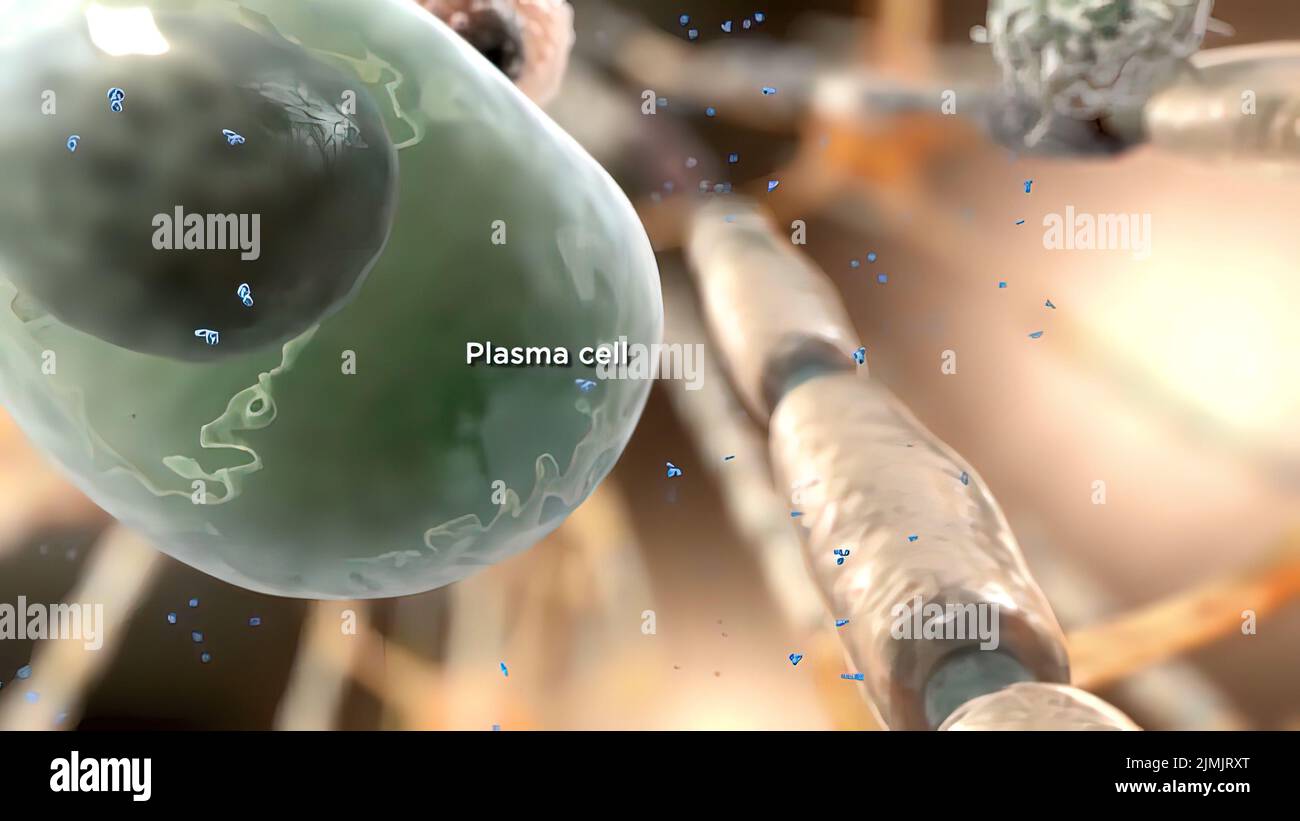 Plasma zelle -Fotos und -Bildmaterial in hoher Auflösung – Alamy
