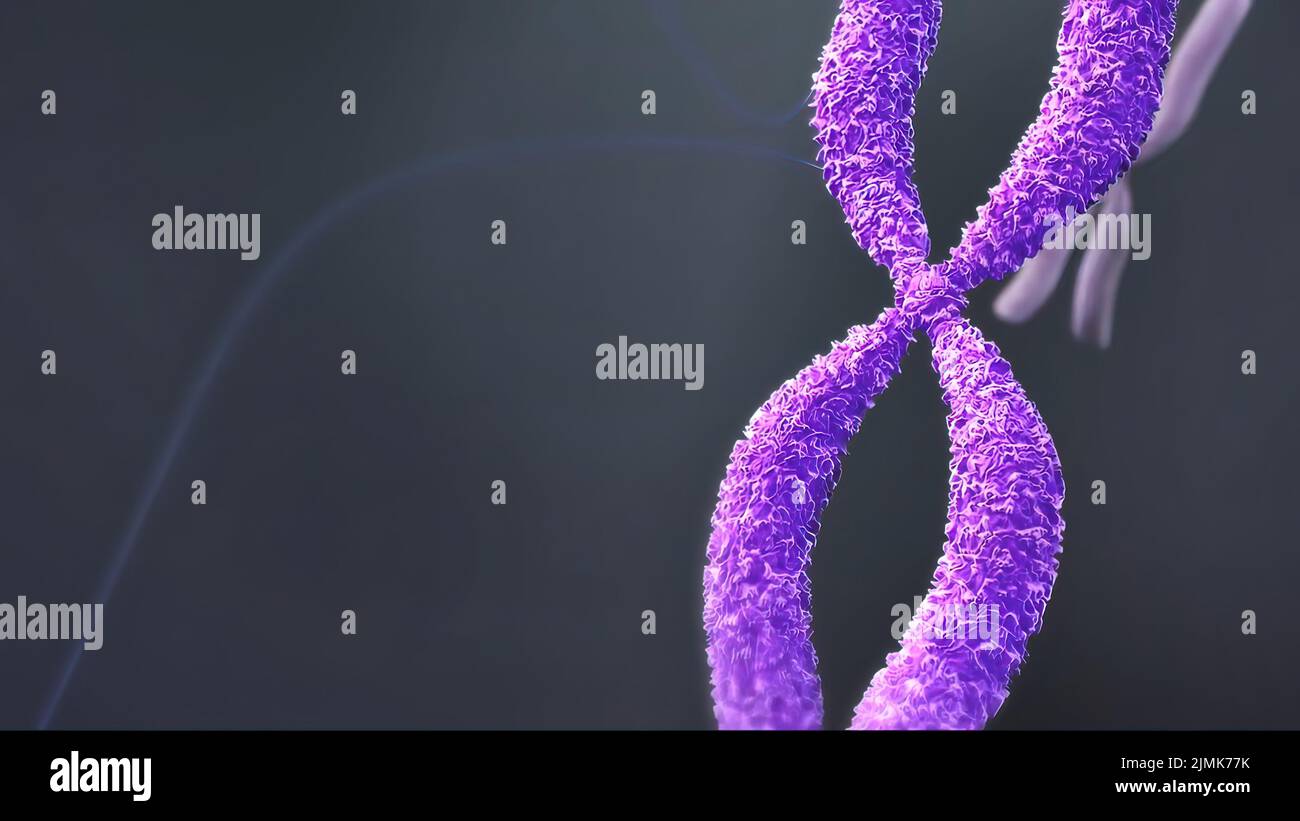 Dna forschung genom chromosomen -Fotos und -Bildmaterial in hoher ...