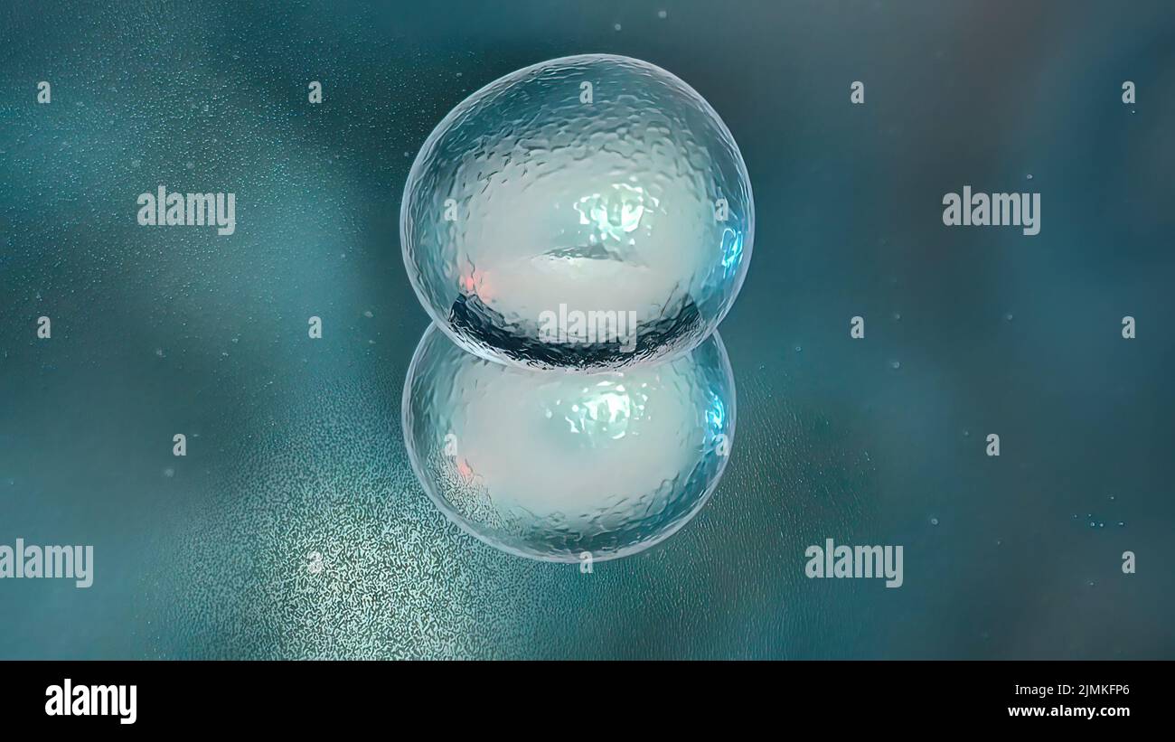 Klonen der genetik -Fotos und -Bildmaterial in hoher Auflösung – Alamy