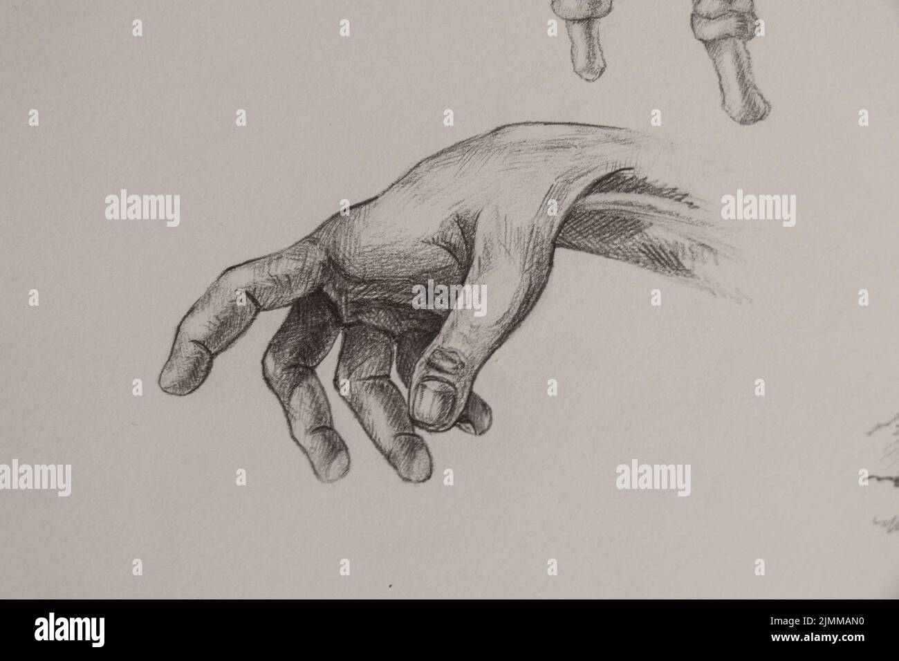 Anatomie studium -Fotos und -Bildmaterial in hoher Auflösung – Alamy