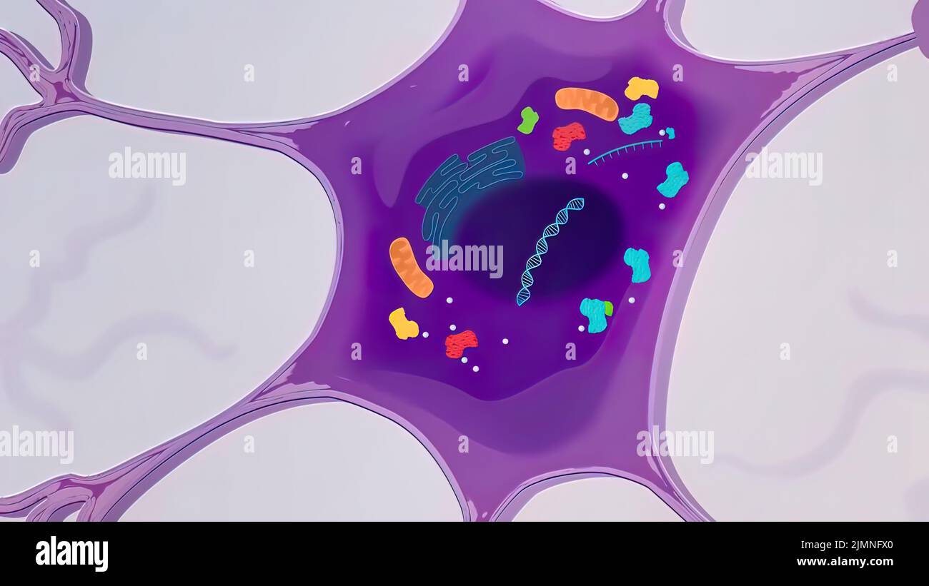 Sequenzen von dna -Fotos und -Bildmaterial in hoher Auflösung – Alamy