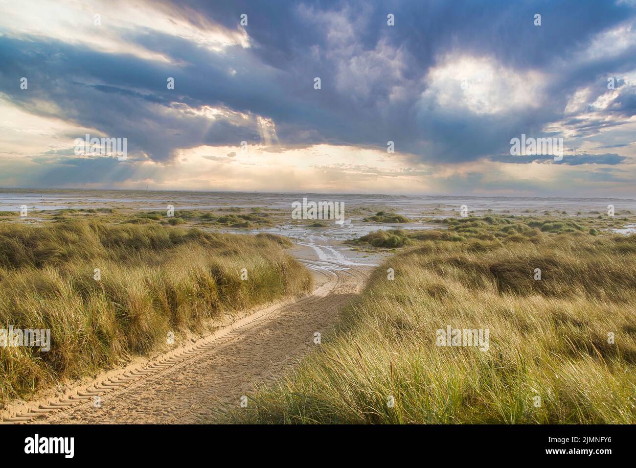 Amrum dünen -Fotos und -Bildmaterial in hoher Auflösung – Alamy