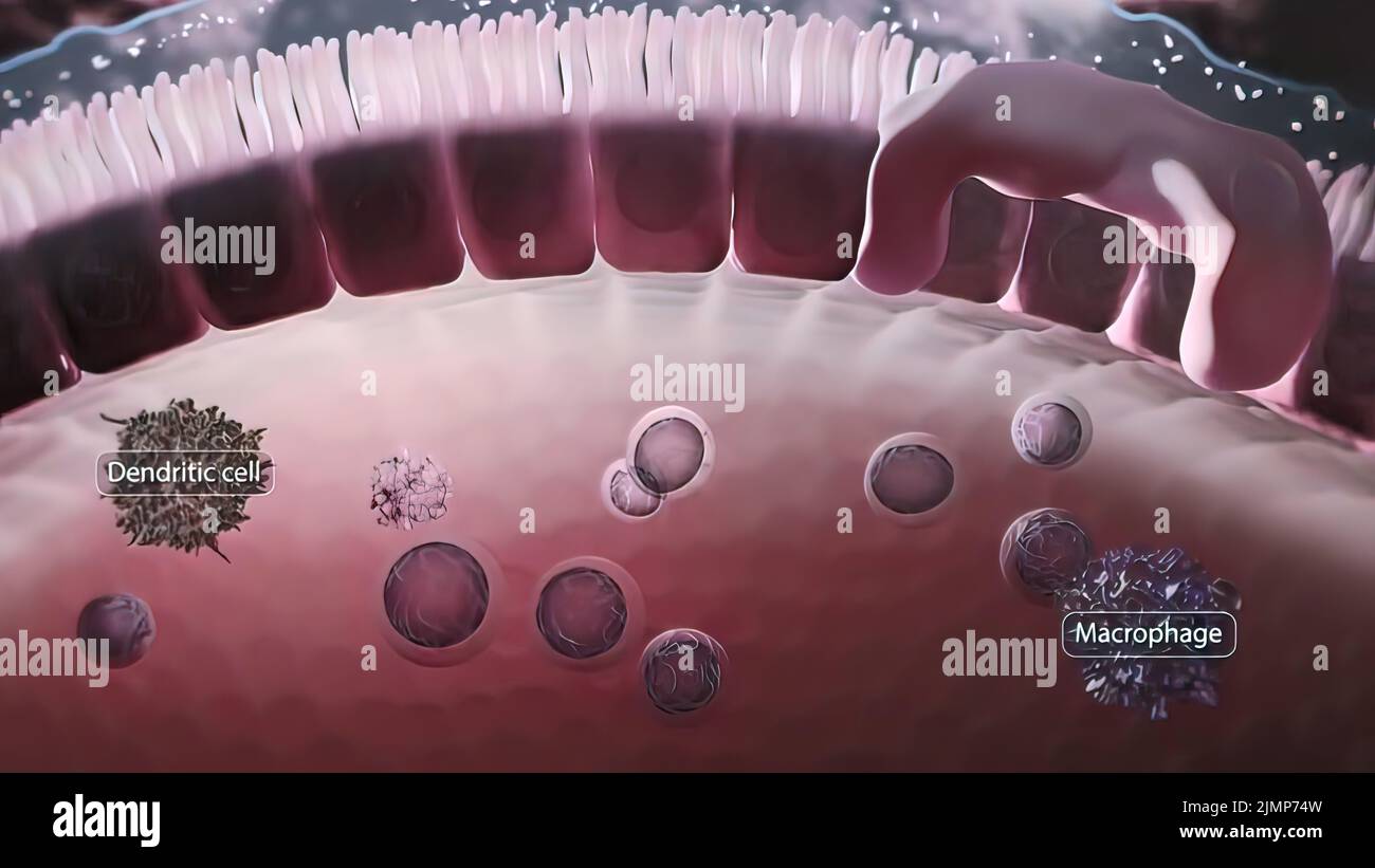 Menschliche verteidigung -Fotos und -Bildmaterial in hoher Auflösung – Alamy
