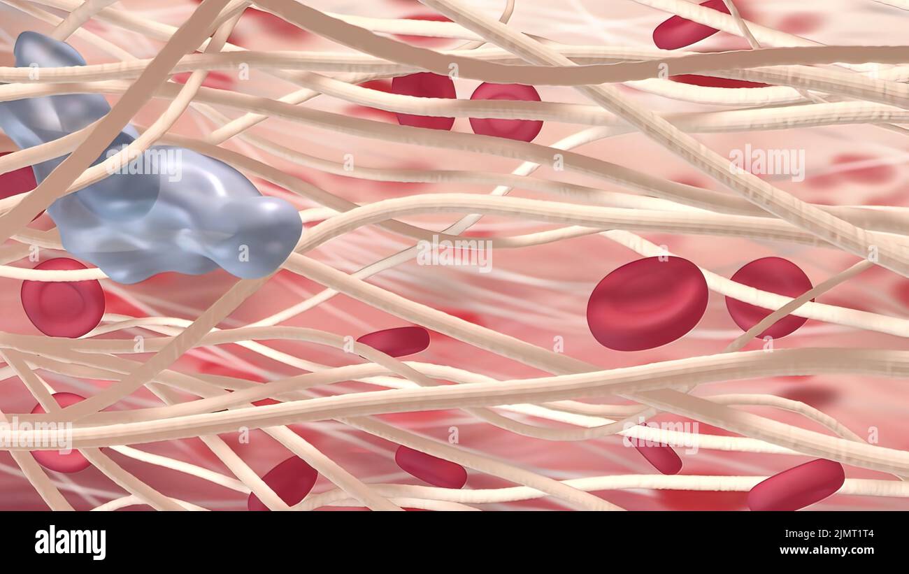 Plasma zelle -Fotos und -Bildmaterial in hoher Auflösung – Alamy