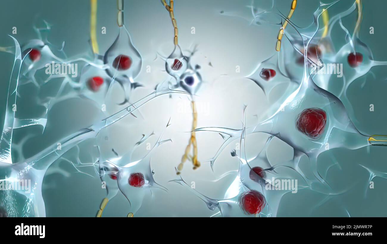 Neurons microscope -Fotos und -Bildmaterial in hoher Auflösung – Alamy