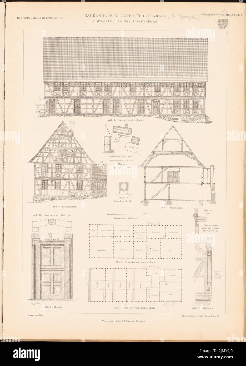 Querschnitt und details aus -Fotos und -Bildmaterial in hoher Auflösung – Alamy