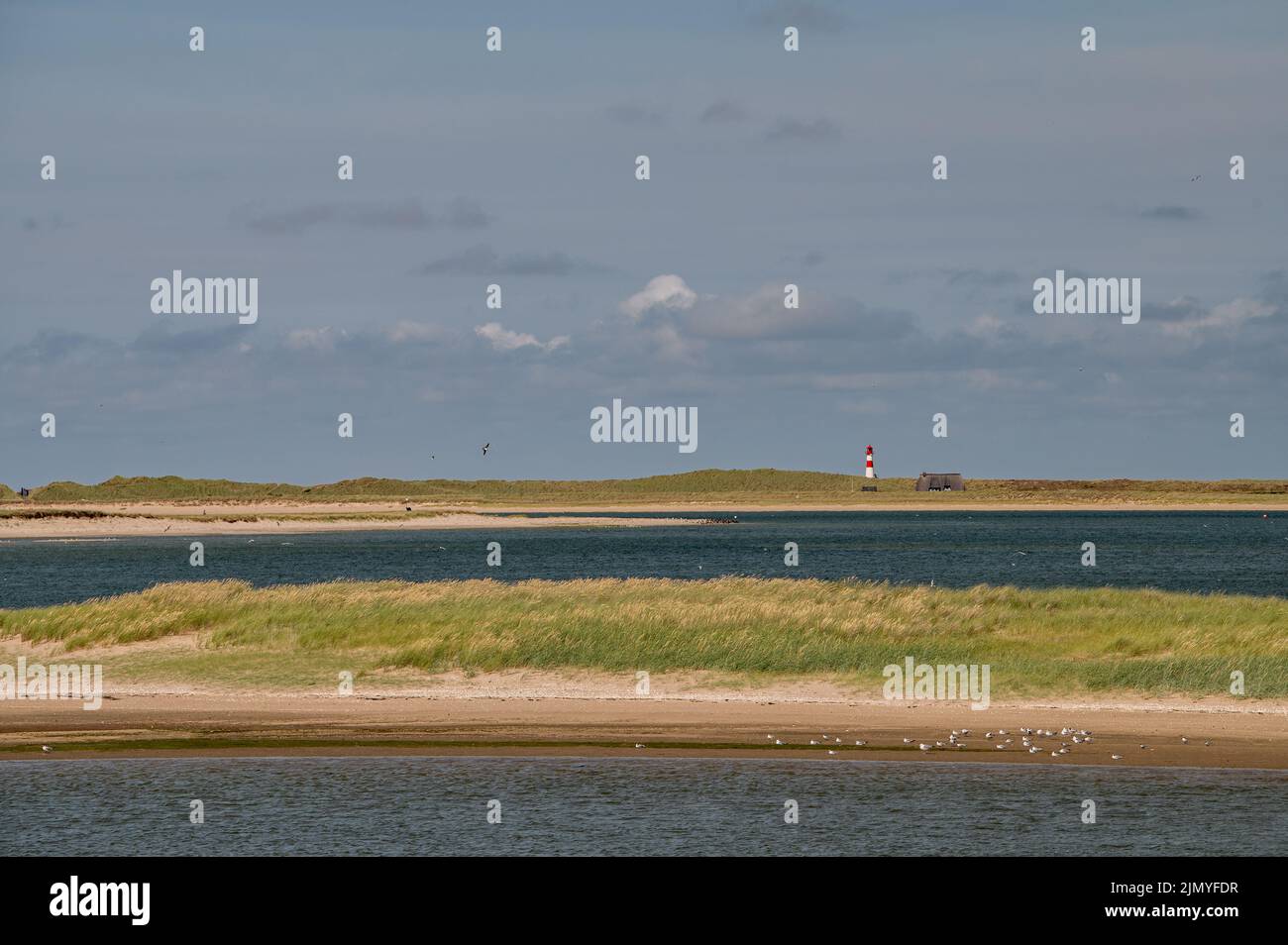 Ellbogen parken -Fotos und -Bildmaterial in hoher Auflösung – Alamy