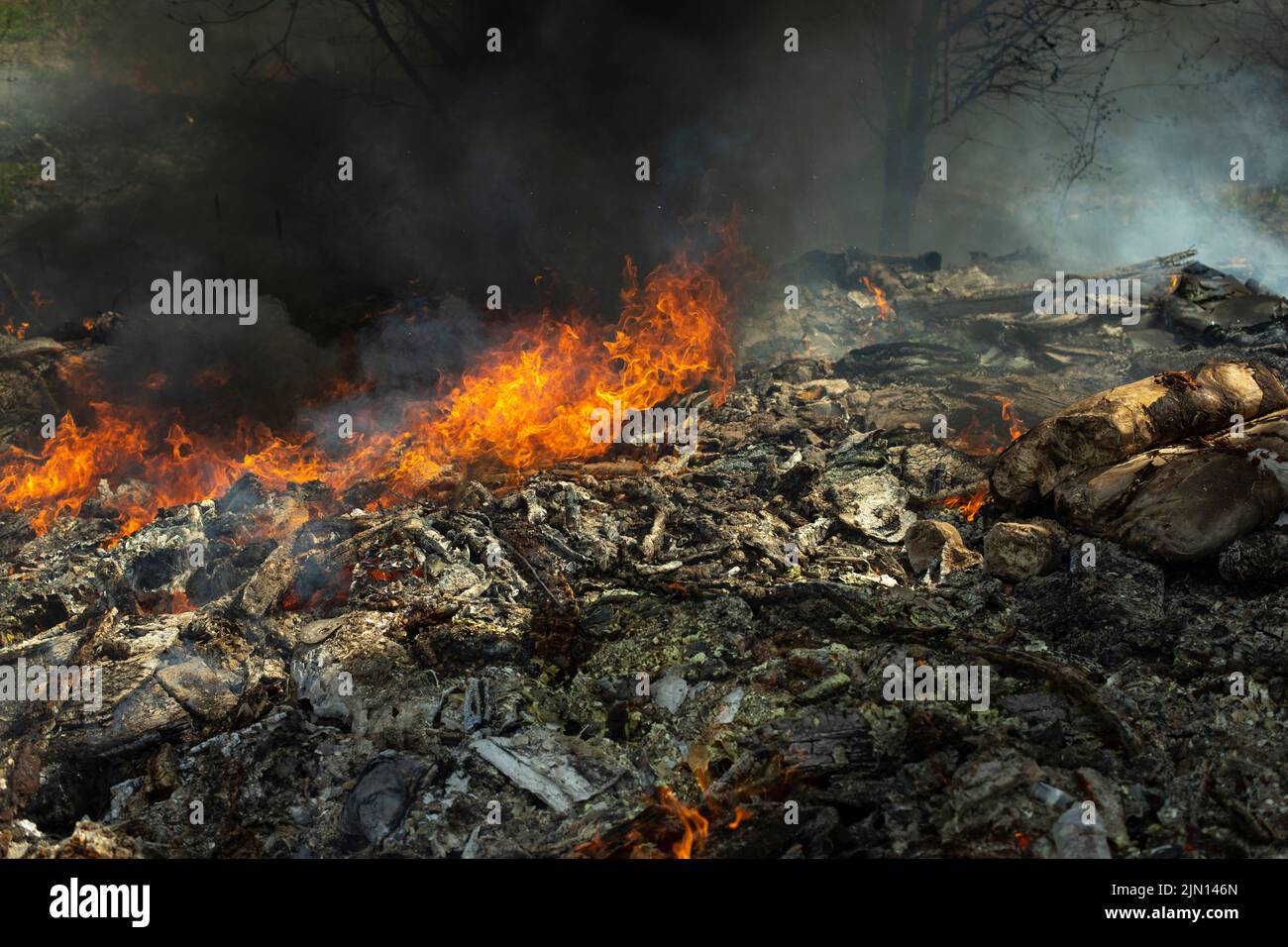 Feuer und schwarzer Rauch. Brand in Deponien. Rauch im Wald. Illegale ...