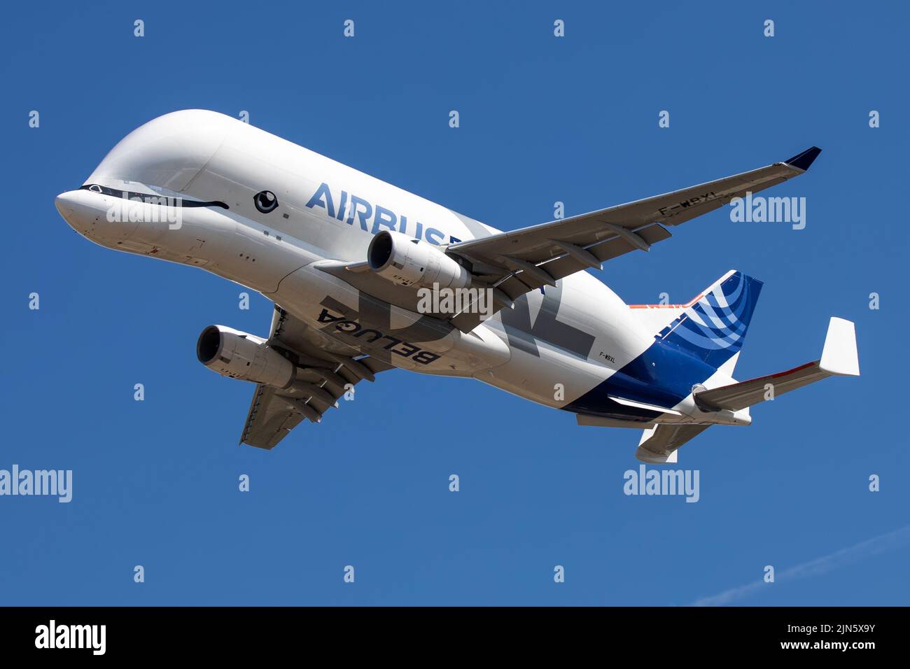 Beluga wal show -Fotos und -Bildmaterial in hoher Auflösung – Alamy