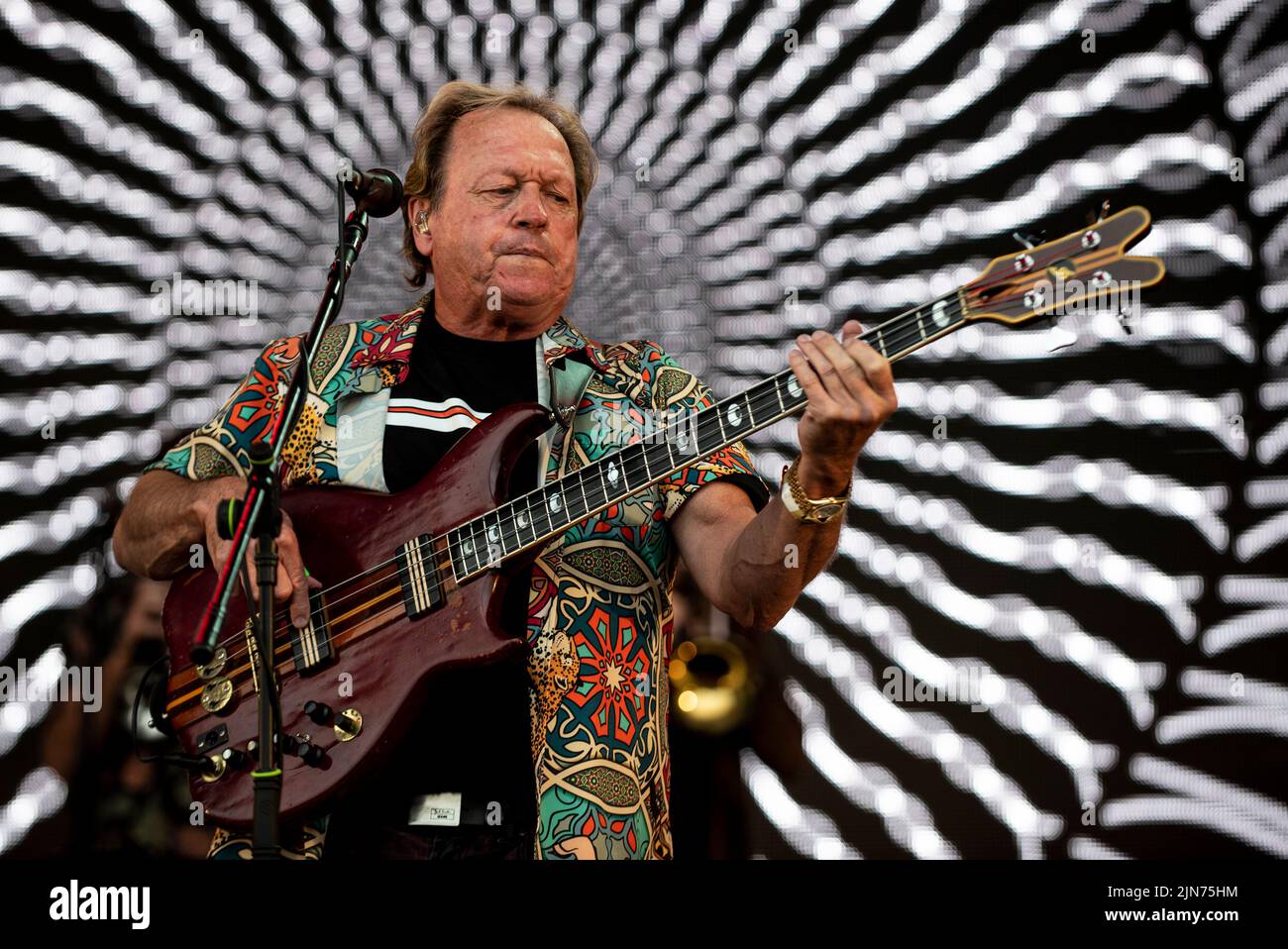 King mark -Fotos und -Bildmaterial in hoher Auflösung – Alamy