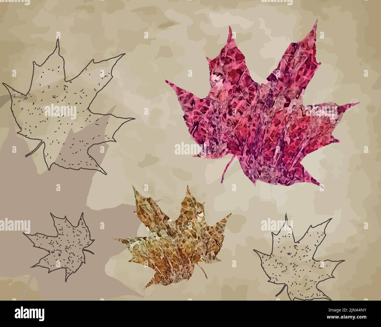 Orange aquarell gemalte vektor herbst ahornblatt hintergrund -Fotos und ...