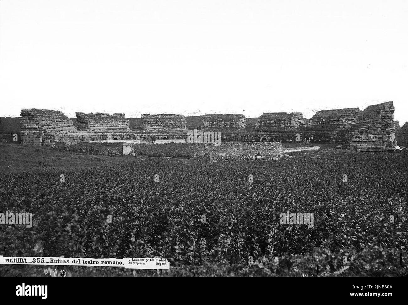 El coliseo o coliseo romano -Fotos und -Bildmaterial in hoher Auflösung – Alamy