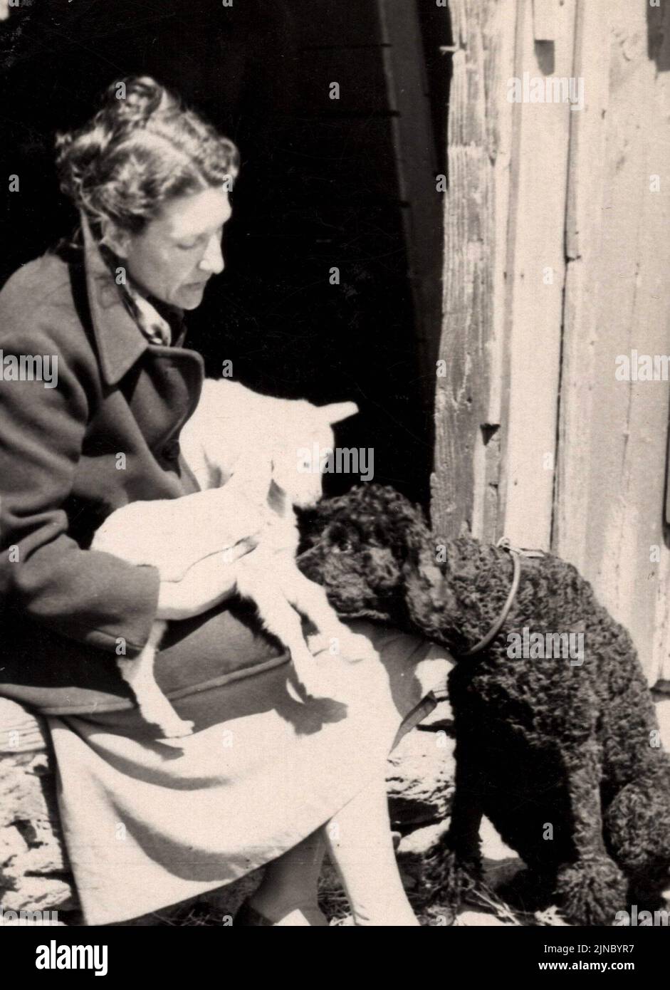 Virginia hall amputation -Fotos und -Bildmaterial in hoher Auflösung ...