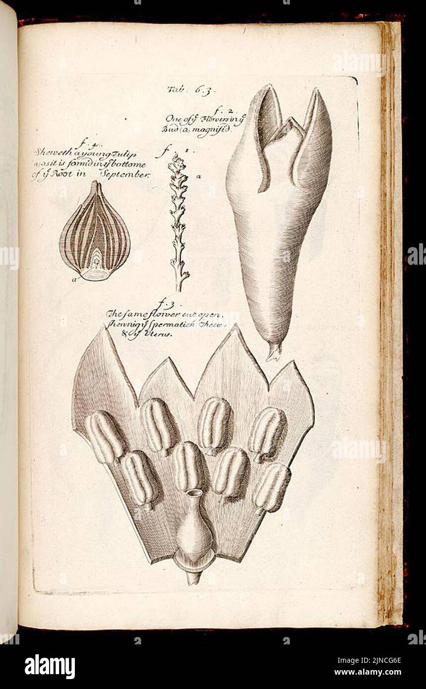 63 tab -Fotos und -Bildmaterial in hoher Auflösung – Alamy