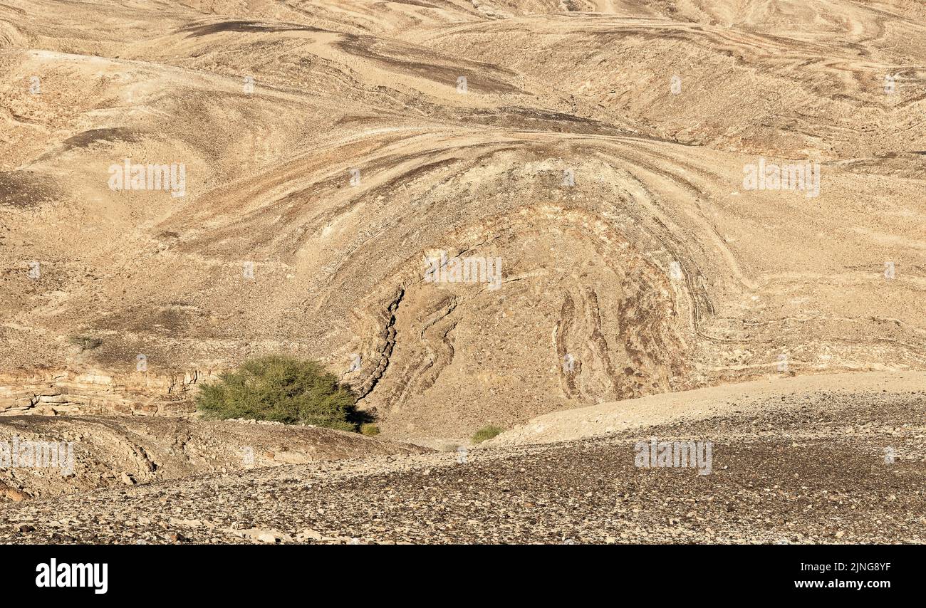 Kalkstein und hornstein -Fotos und -Bildmaterial in hoher Auflösung – Alamy