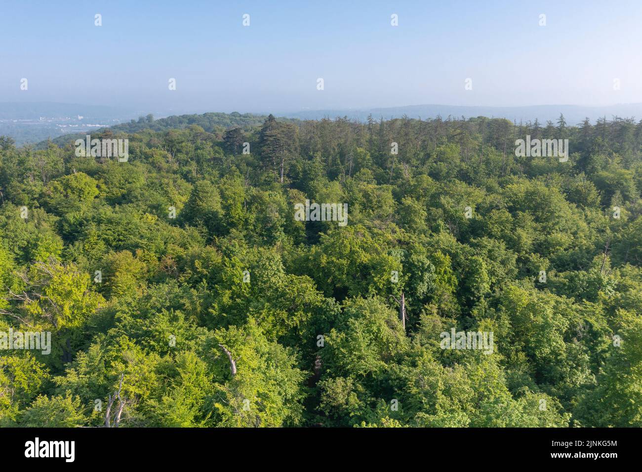France, Oise, Picardie, Compiegne, The Foret de Compiegne, Compiegne ...