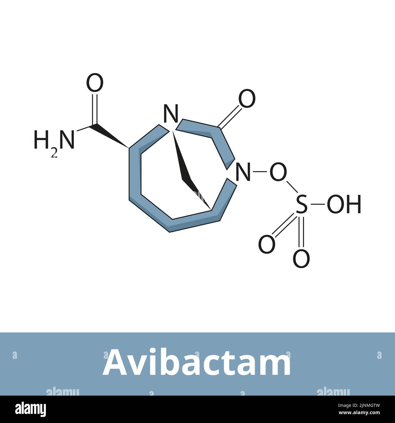 β lactamase -Fotos und -Bildmaterial in hoher Auflösung – Alamy