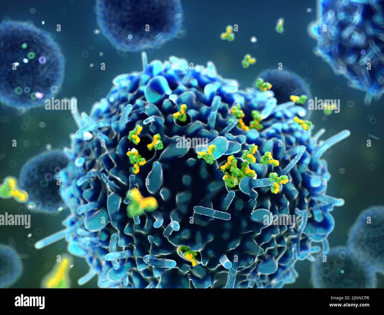 Plasma zelle -Fotos und -Bildmaterial in hoher Auflösung – Alamy