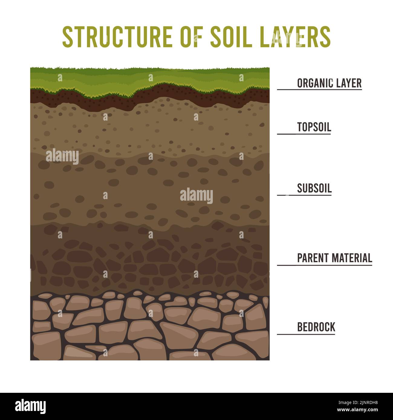 Bodenschichten. Cartoon Geologie Bodenstruktur mit Sand Untergrund ...