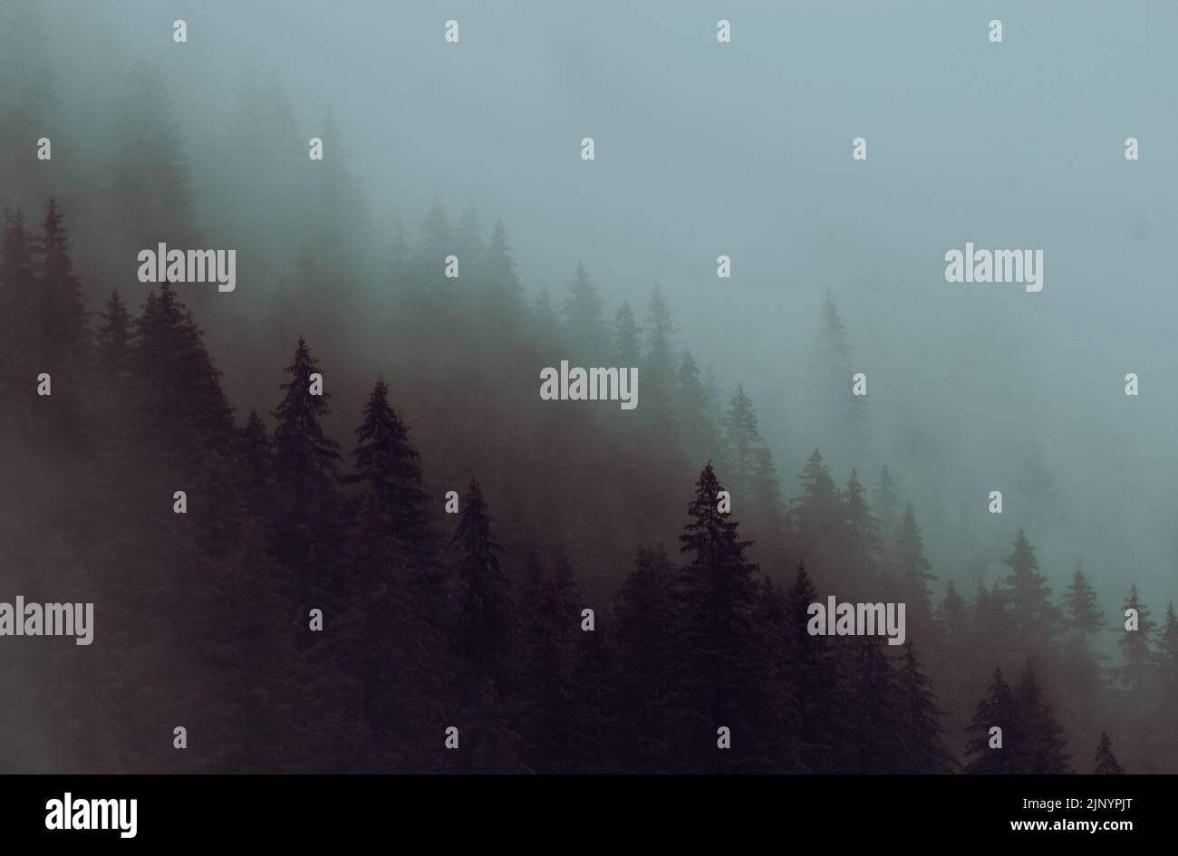 Dunkle atmosphäre -Fotos und -Bildmaterial in hoher Auflösung – Alamy