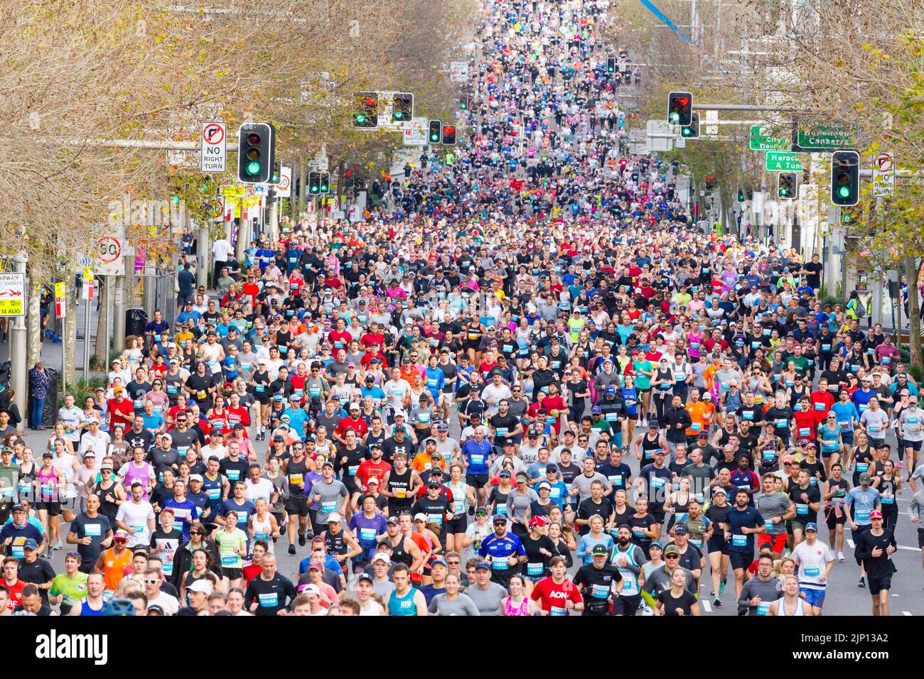 Läufer beim „City 2 Surf“-Marathon 2022 in Australien. Die ... Läufer beim „City 2 Surf“-Marathon 2022 in Australien. Die ...
