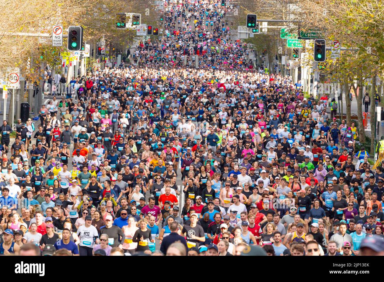 Läufer beim „City 2 Surf“-Marathon 2022 in Australien. Die ... Läufer beim „City 2 Surf“-Marathon 2022 in Australien. Die ...