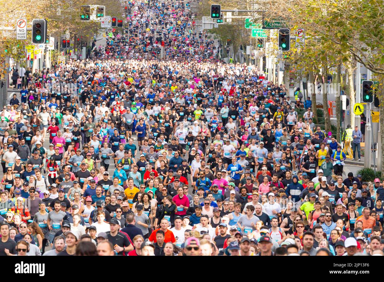 Läufer beim „City 2 Surf“-Marathon 2022 in Australien. Die ... Läufer beim „City 2 Surf“-Marathon 2022 in Australien. Die ...