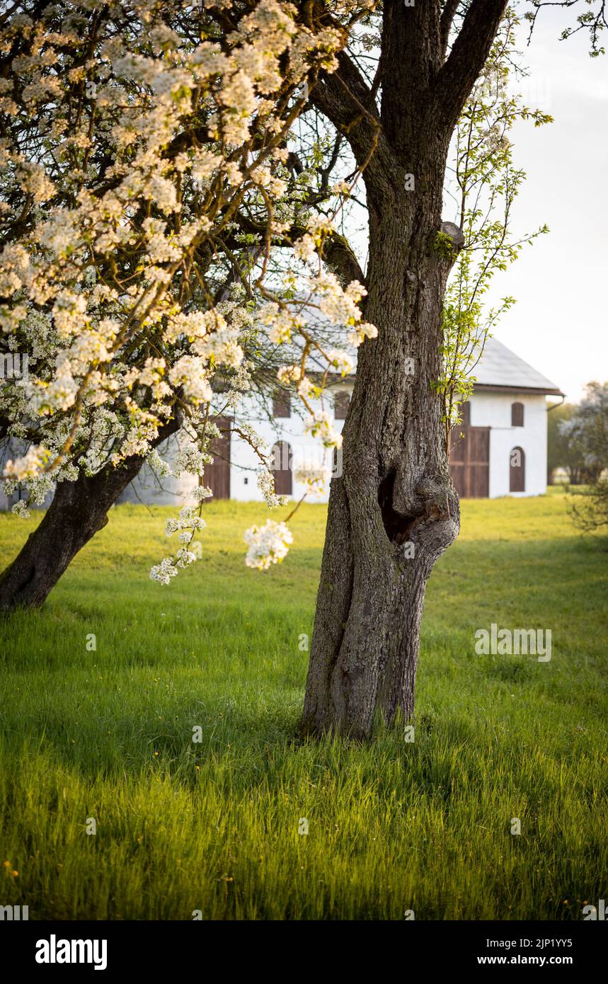 Bayrische idylle -Fotos und -Bildmaterial in hoher Auflösung – Alamy