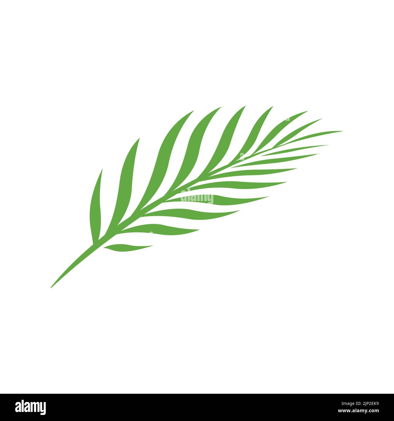 Design mit Palm Leave Logo. Silhouette mit Palmenblatt. Piktogramm der ...