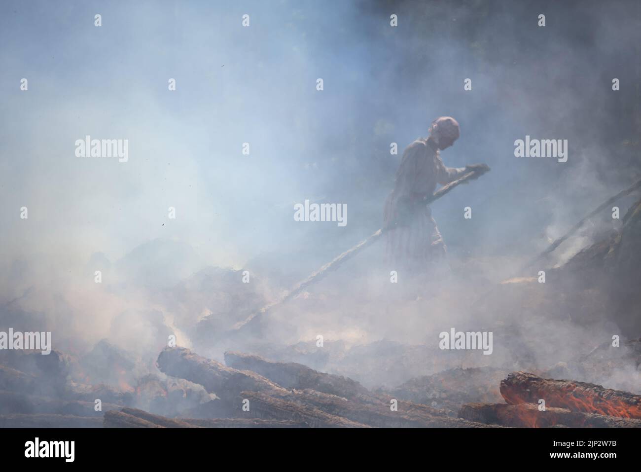 Slash and burn farming -Fotos und -Bildmaterial in hoher Auflösung – Alamy