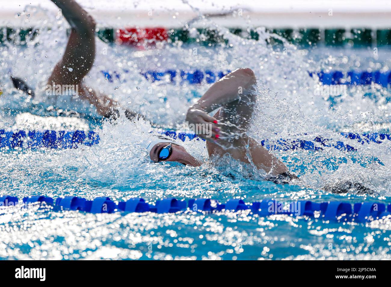 Mixed 4x 100m freistil -Fotos und -Bildmaterial in hoher Auflösung – Alamy