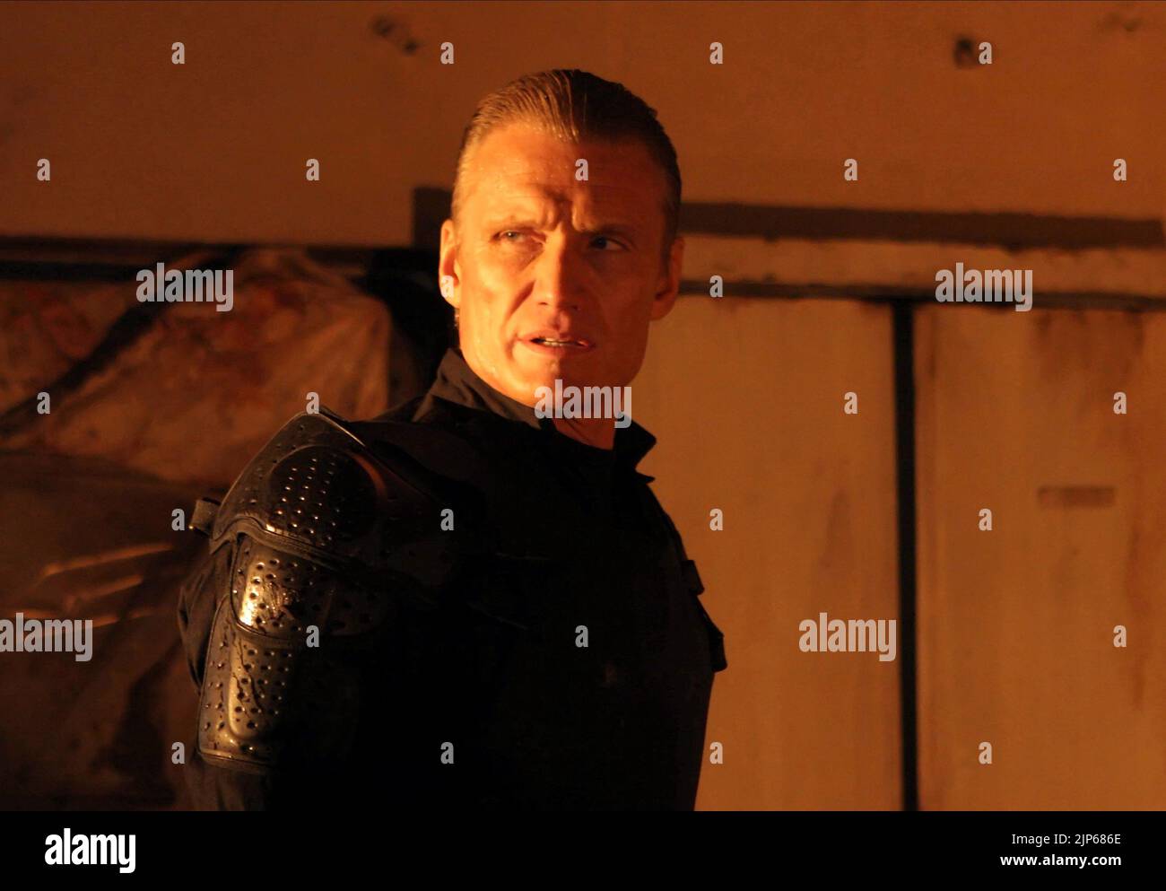 Regeneration dolph lundgren -Fotos und -Bildmaterial in hoher Auflösung ...