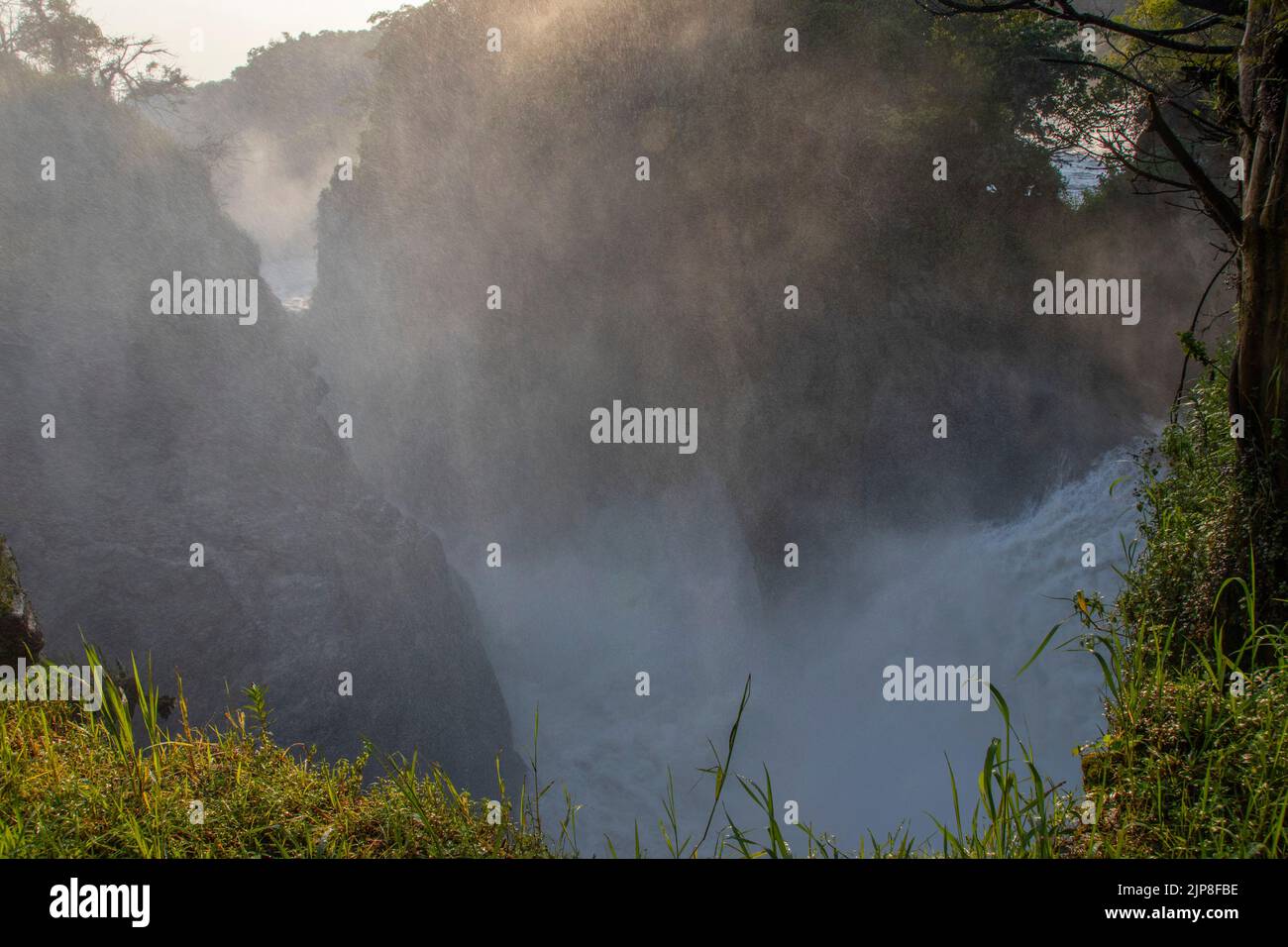 Der Murchison Falls National Park liegt am Ufer des Lake Albert im ...