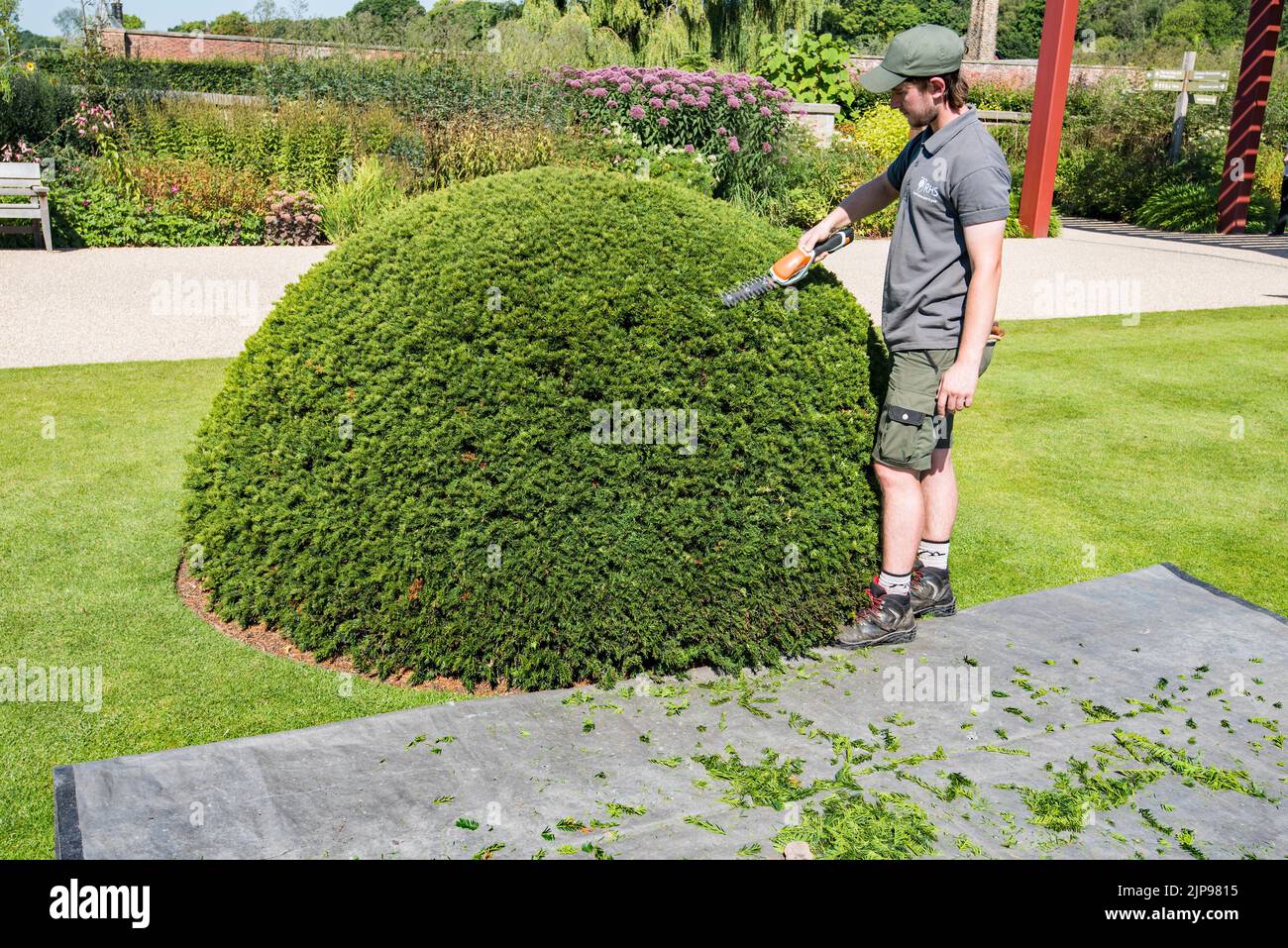 Botanischer garten worsley salford -Fotos und -Bildmaterial in hoher ...