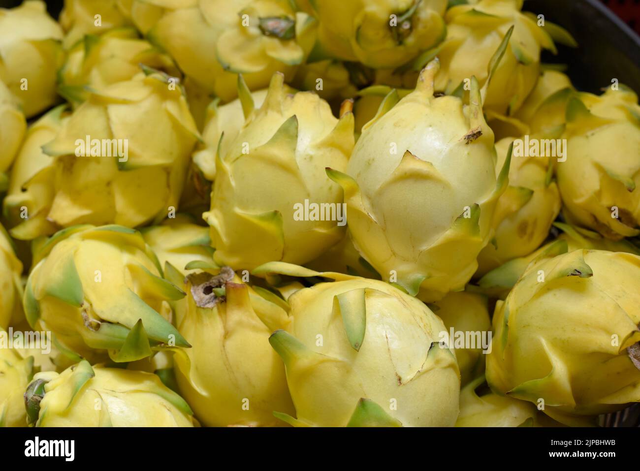 Chinese dragon fruit pitahaya -Fotos und -Bildmaterial in hoher ...