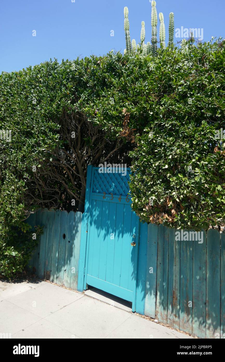 Walgrove avenue -Fotos und -Bildmaterial in hoher Auflösung – Alamy