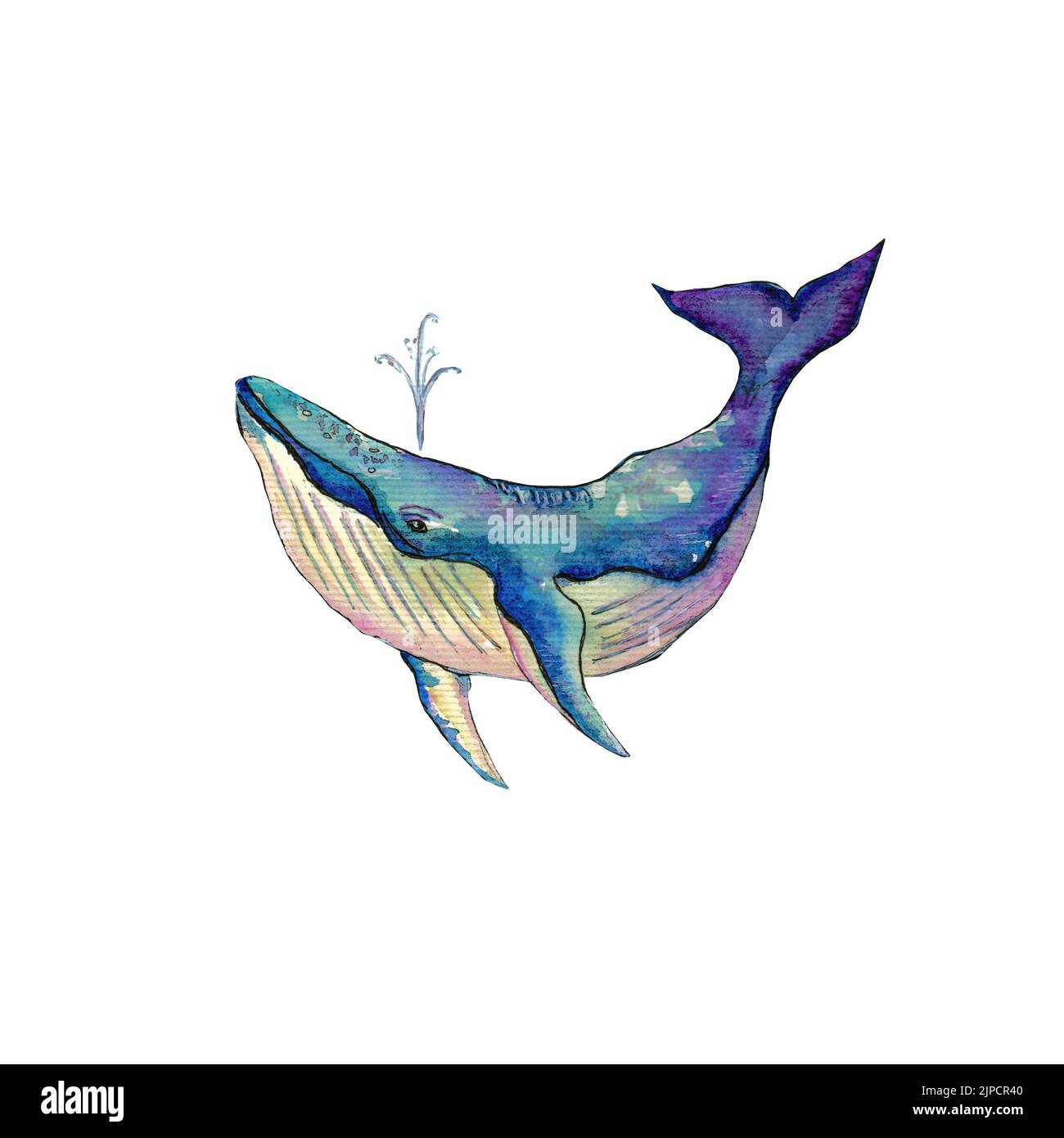 Aquarell von Hand gezeichnete helle Wal-Illustrationen isoliert auf ...