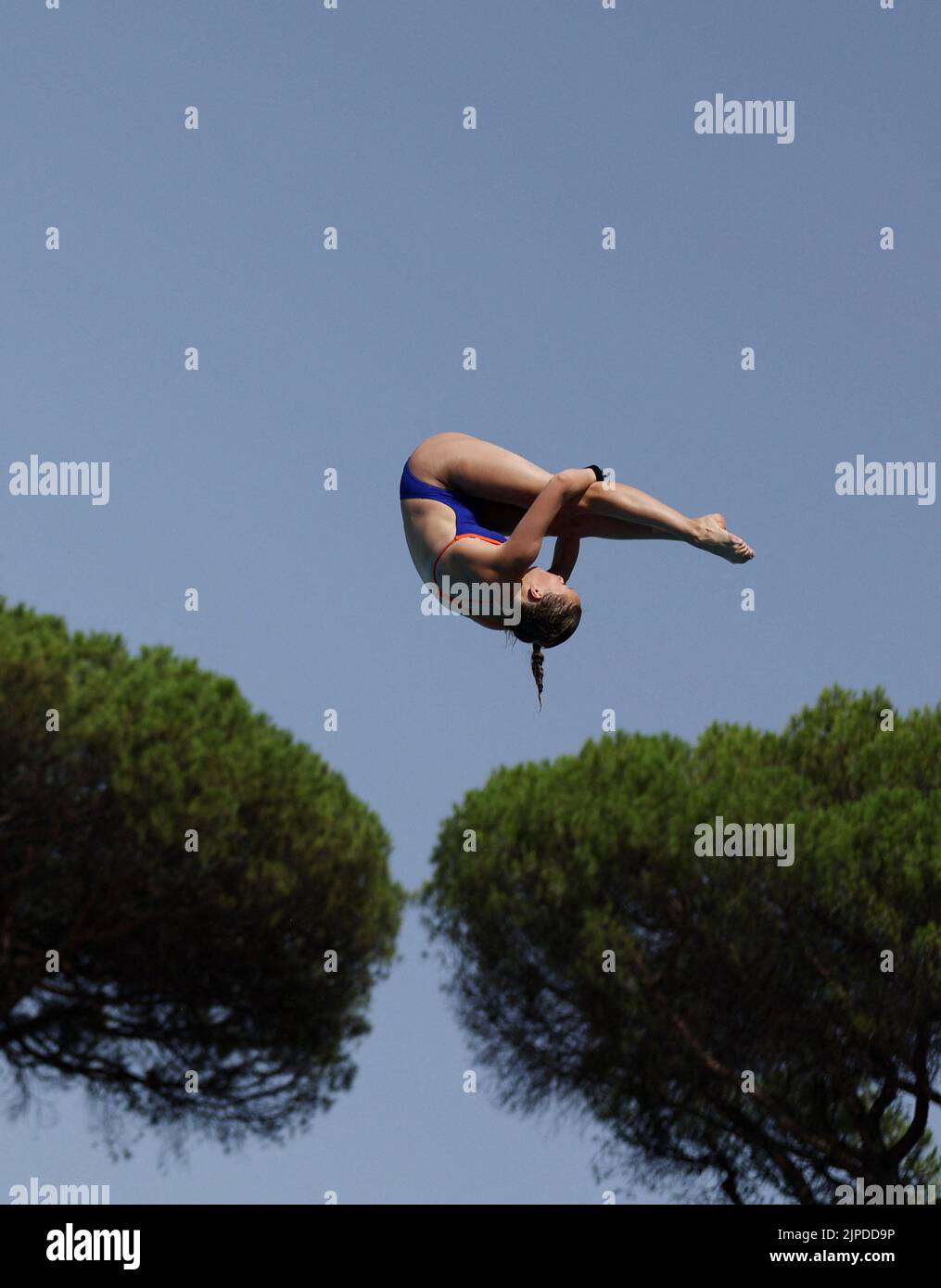 Tauchen - Schwimmeuropameisterschaften - Stadio Olimpico del Nuoto, Rom ...