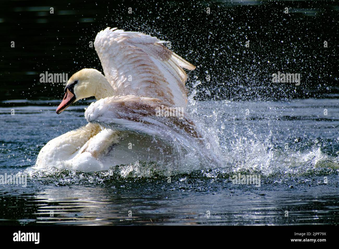 Moses gate -Fotos und -Bildmaterial in hoher Auflösung – Alamy