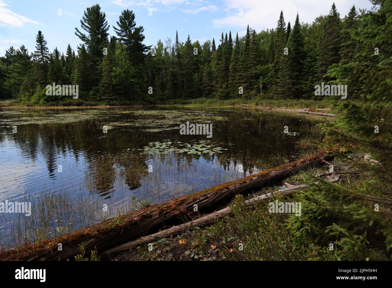 Parc de la mauricie -Fotos und -Bildmaterial in hoher Auflösung – Alamy