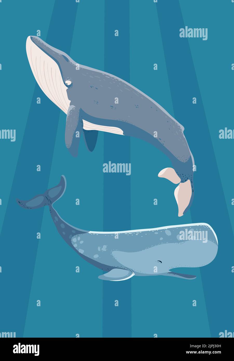 Riesiger pottwal Stock-Vektorgrafiken kaufen - Alamy