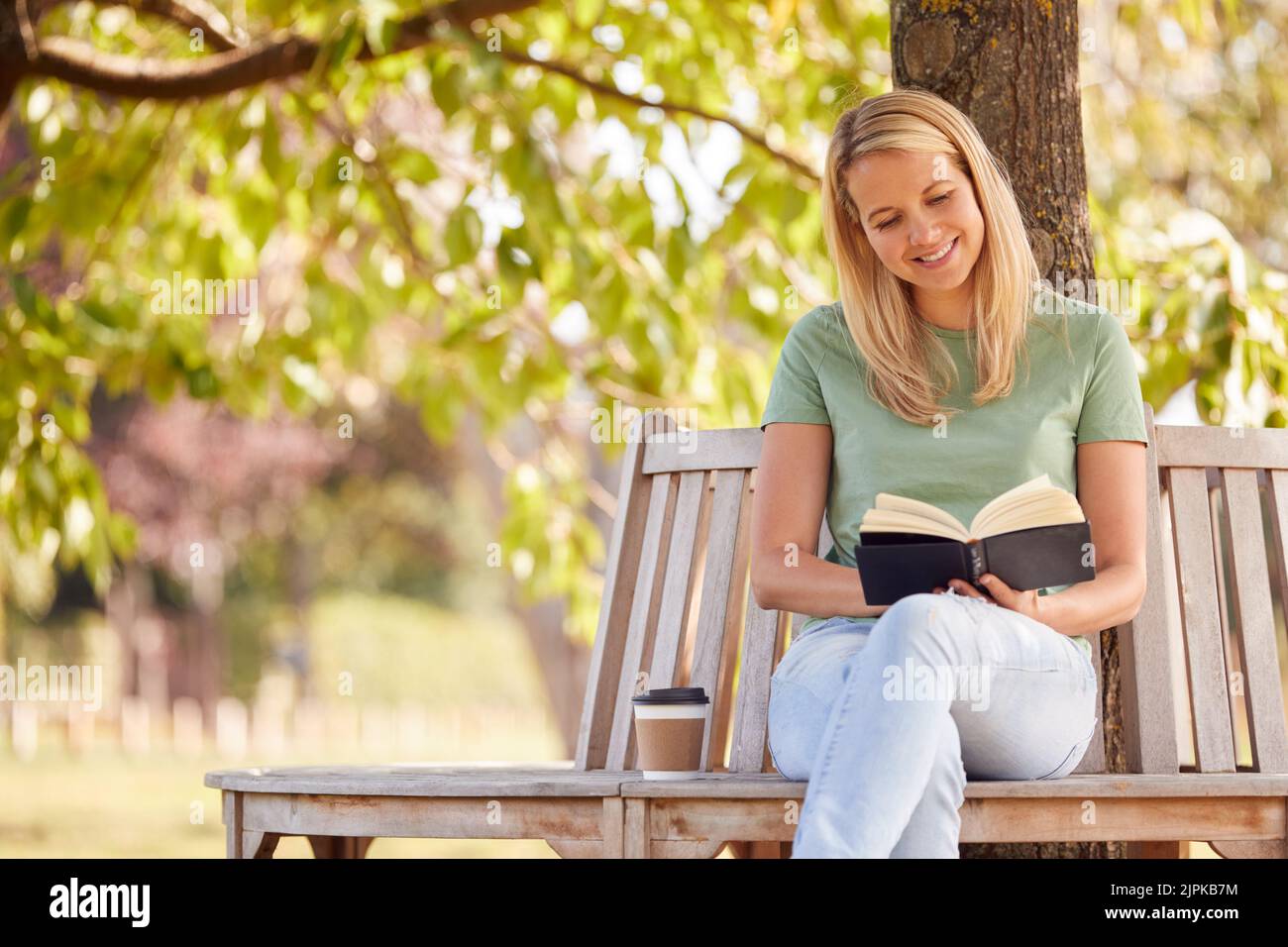 Freizeit, Park, Lesen, Freizeit, Parks, Lesen, ein Buch lesen, etwas ...